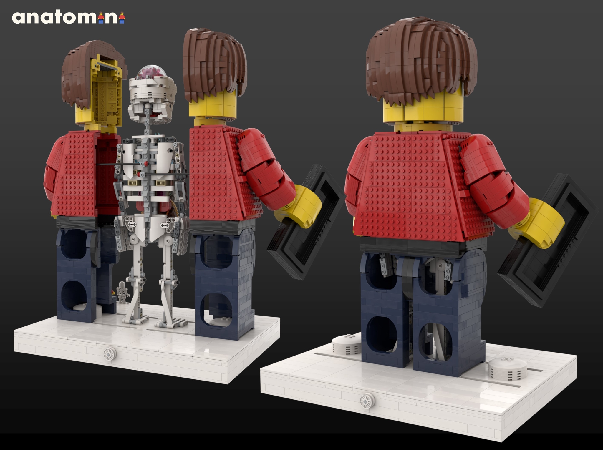 [Anatomini] [BrickLink]