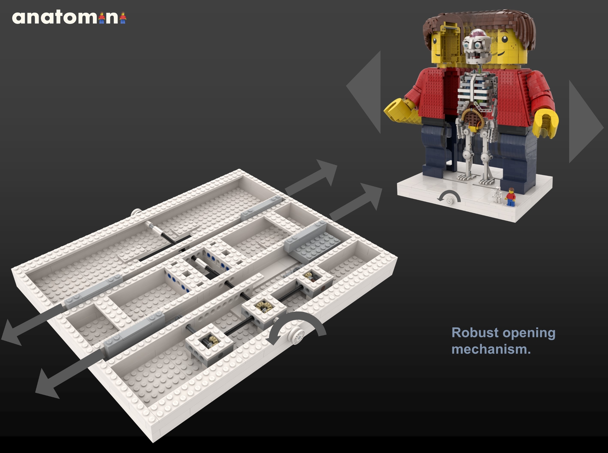 [Anatomini] [BrickLink]